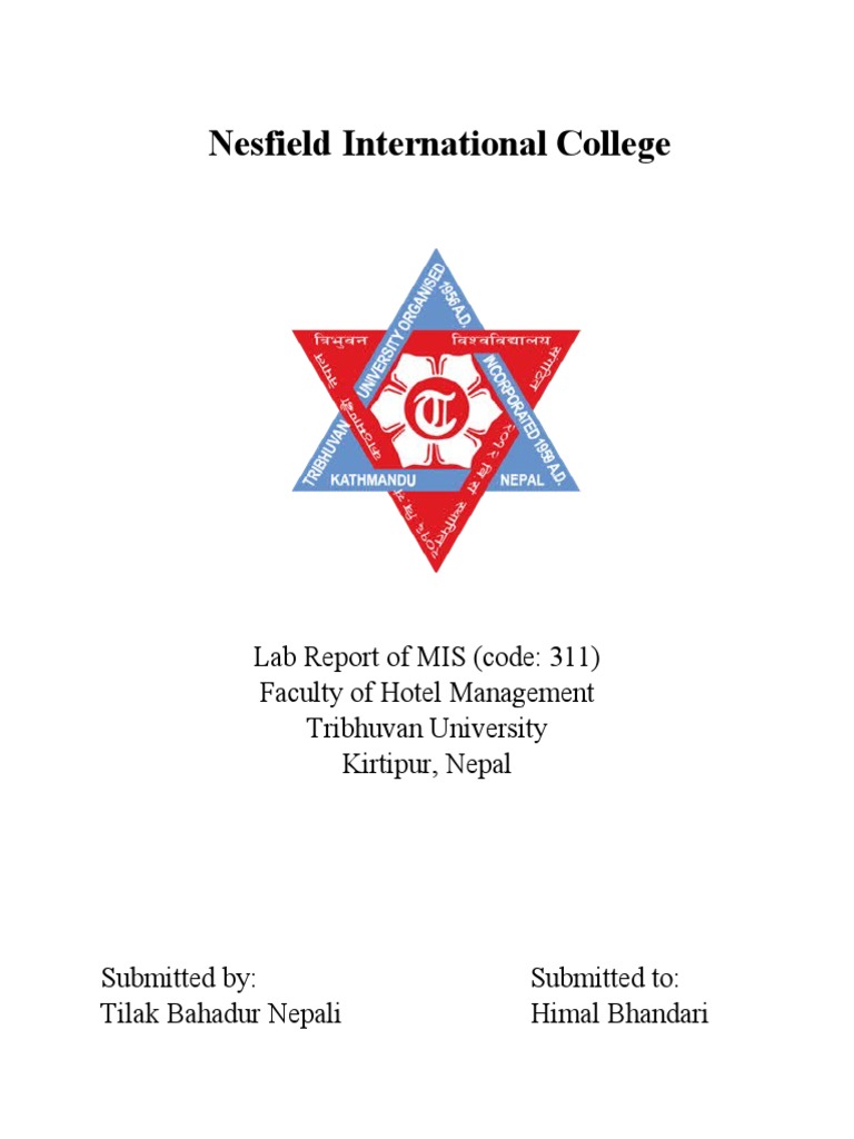 Zeuss Final Mis Project | PDF | Microsoft Excel | Microsoft Word