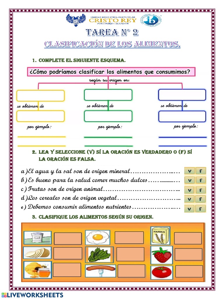 Los Alimentos | PDF | Salud y bienestar | Ciencia y matemáticas