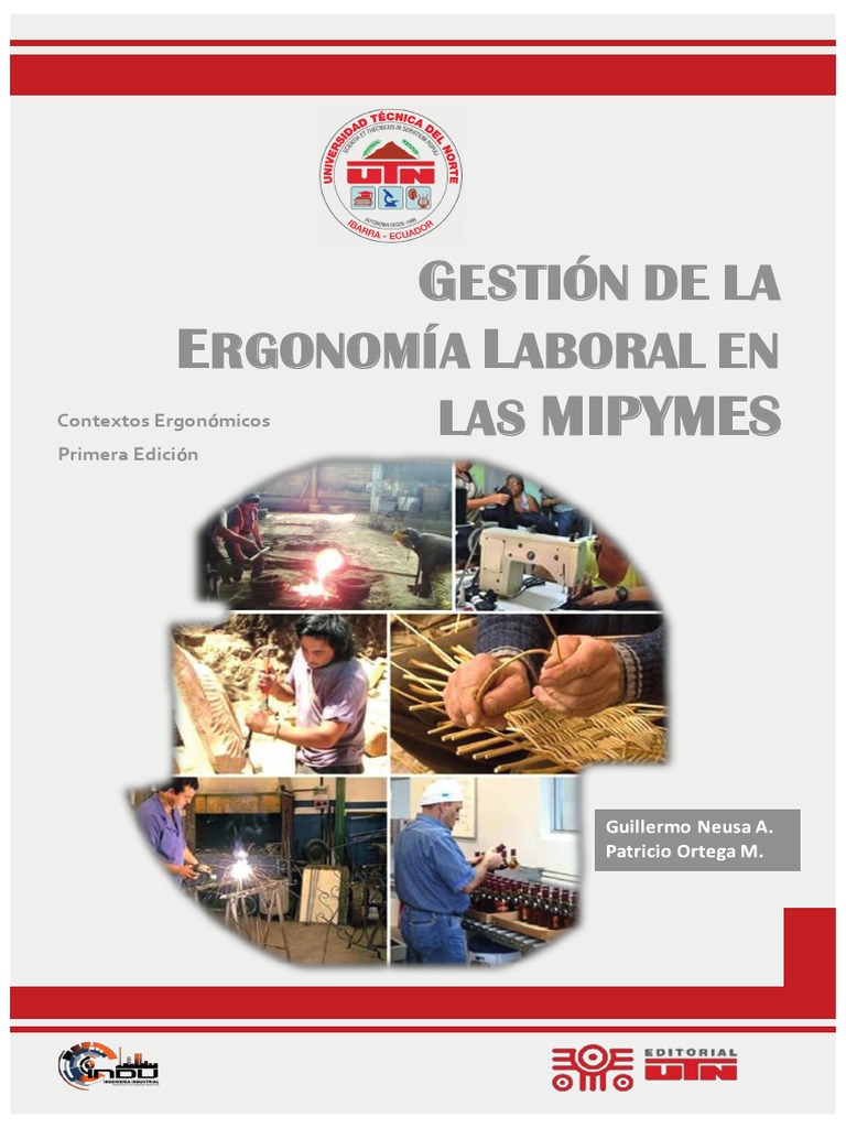 Ebook Gestión de La Ergonomía Laboral en Las Mipymes | PDF | Factores humanos y ergonomía ...