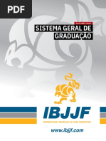 Regras de Golpes por Faixa no Jiu-Jitsu | PDF