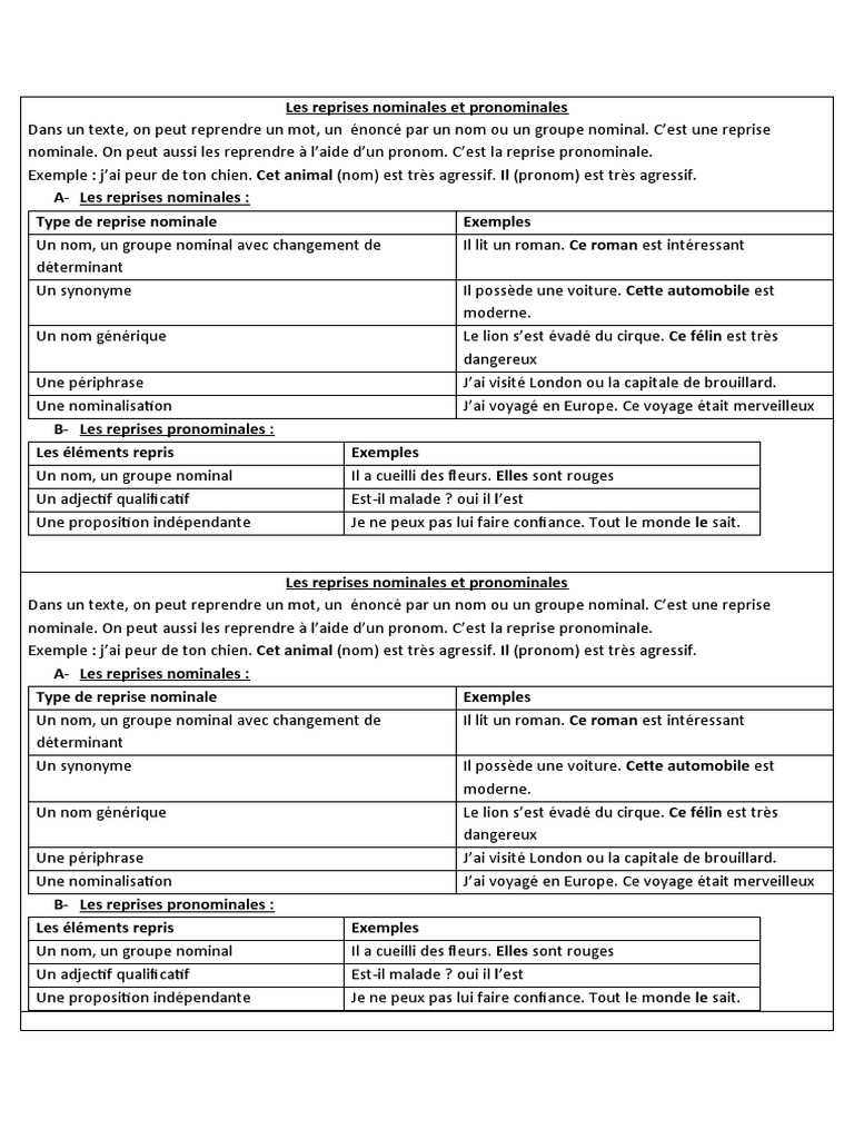 Les Reprises Nominales Et Pronominales Lecons okOKOK | PDF