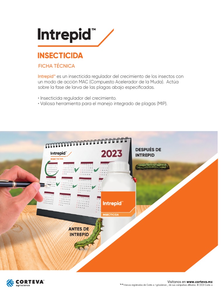 F.T. Intrepid | PDF