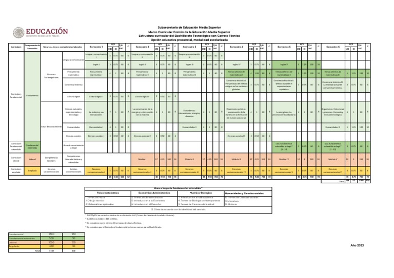 Estructura Curricular Bachillerato Tecnológico | PDF