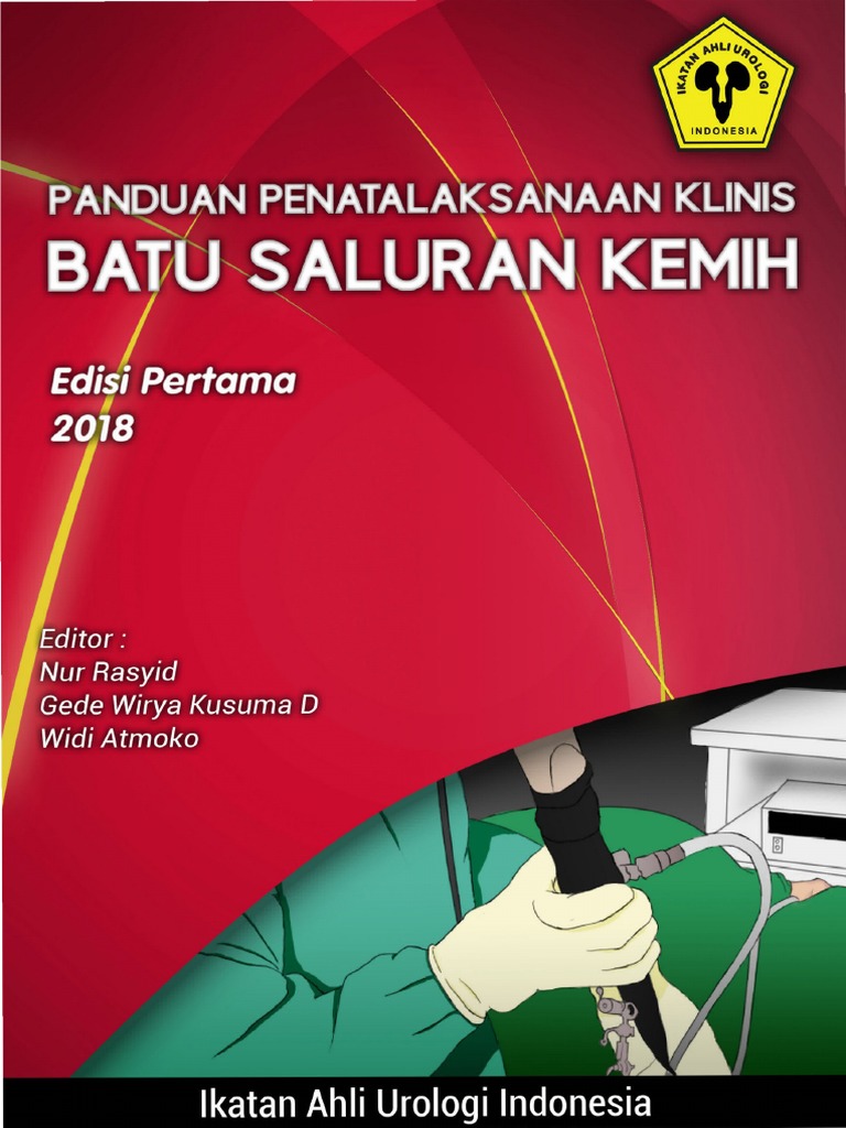 Buku Panduan Penatalaksanaan Batu Saluran Kemih | PDF