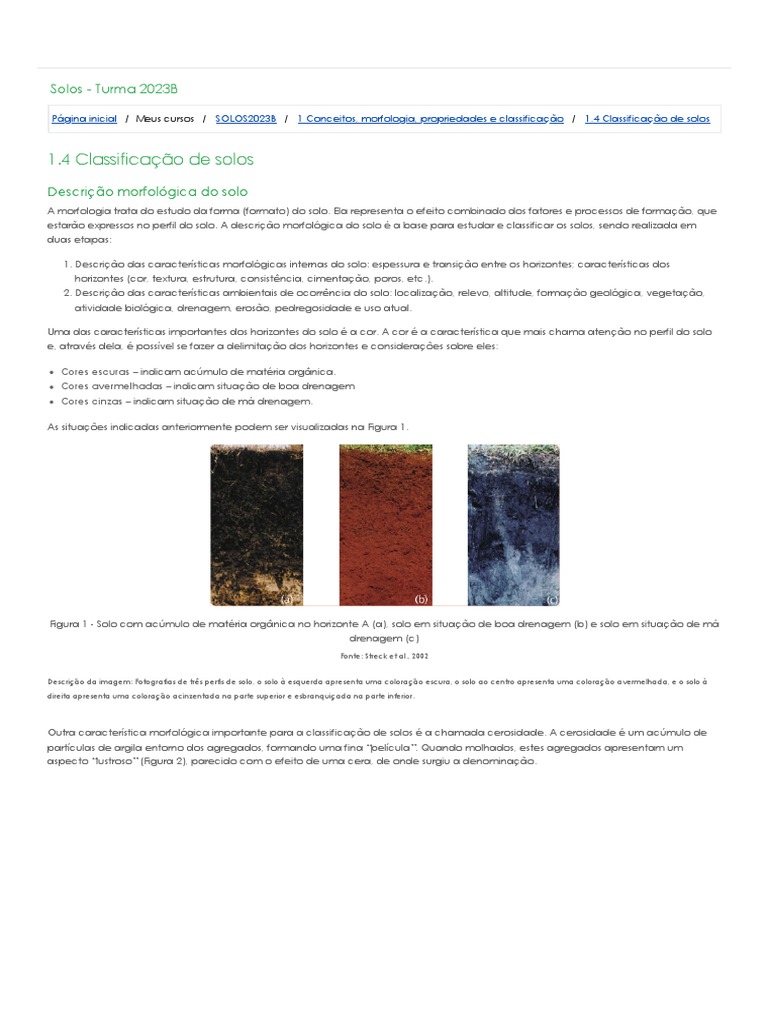 Classificação e Morfologia dos Solos | PDF | Solo | Geografia Física