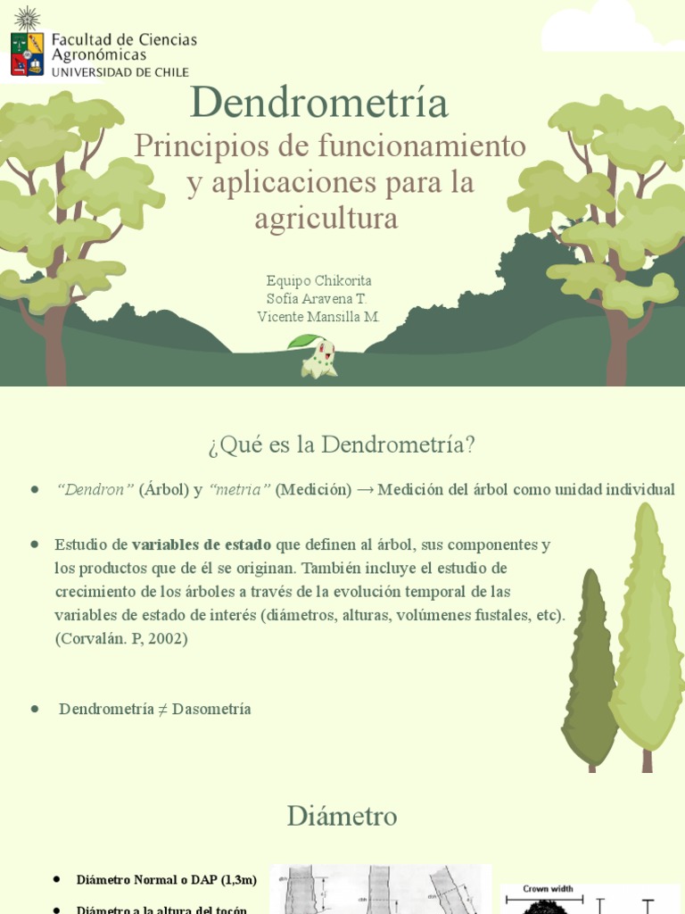 Dendrometría | PDF | Tecnología