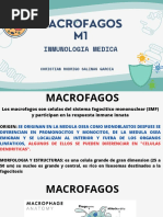 Polarización de Macrófagos M1 y M2 | PDF | Macrófago | Citocina