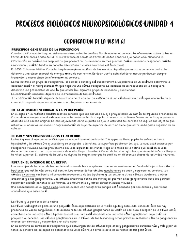 Codificación Visual y Percepción Neuronal | PDF | Percepción visual | Gusto
