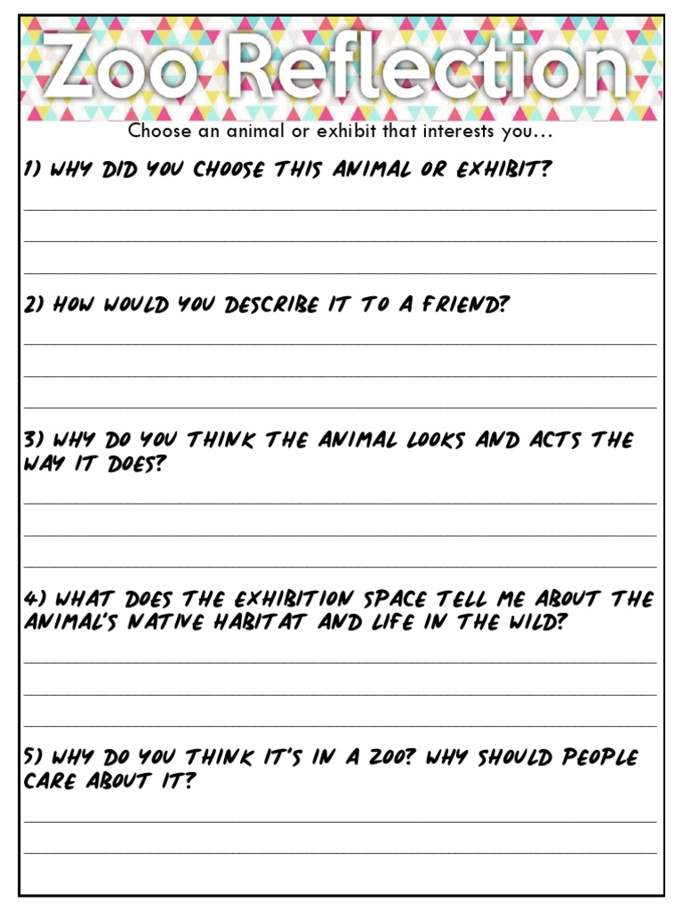 Zoo Reflection Questions | PDF | Computers | Technology & Engineering