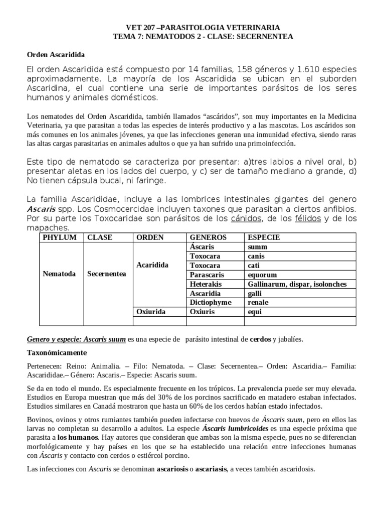 Parasitología Veterinaria: Ascaridida | PDF | Nematodo | Anatomía