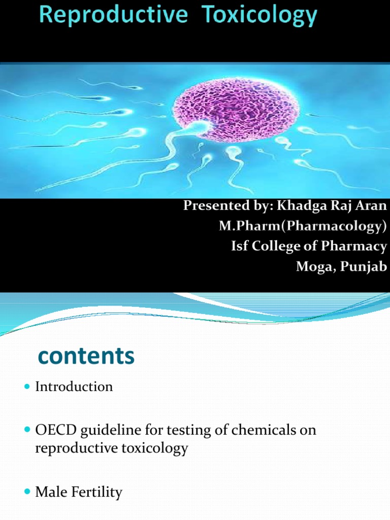 Reproductive Toxicology | PDF