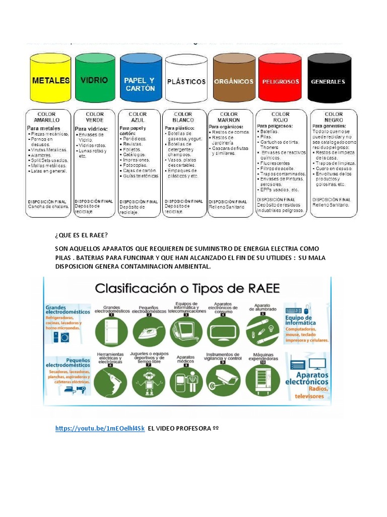 Que Es El Raee | PDF