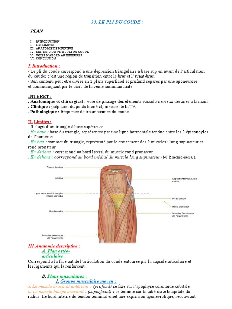 Pli Du Coude 2 | PDF