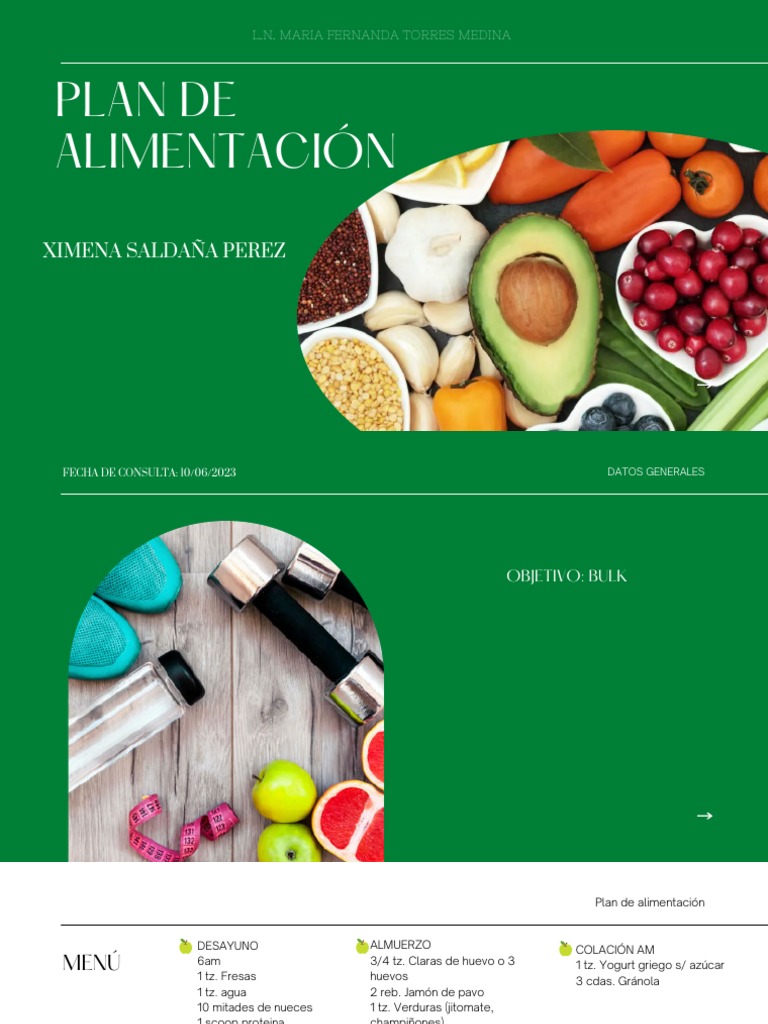 Plan de Alimentación | PDF