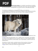 El Oso Polar | PDF | Oso polar | Osos
