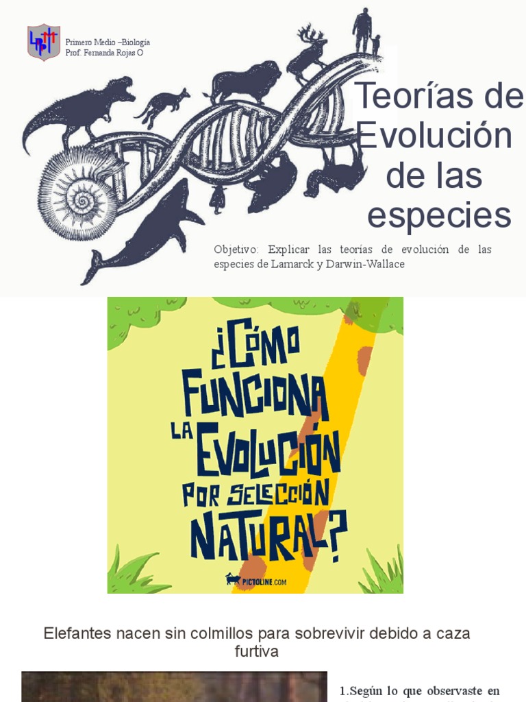 Teorías de Evolución: Darwin y Lamarck | PDF | Seleccion natural ...