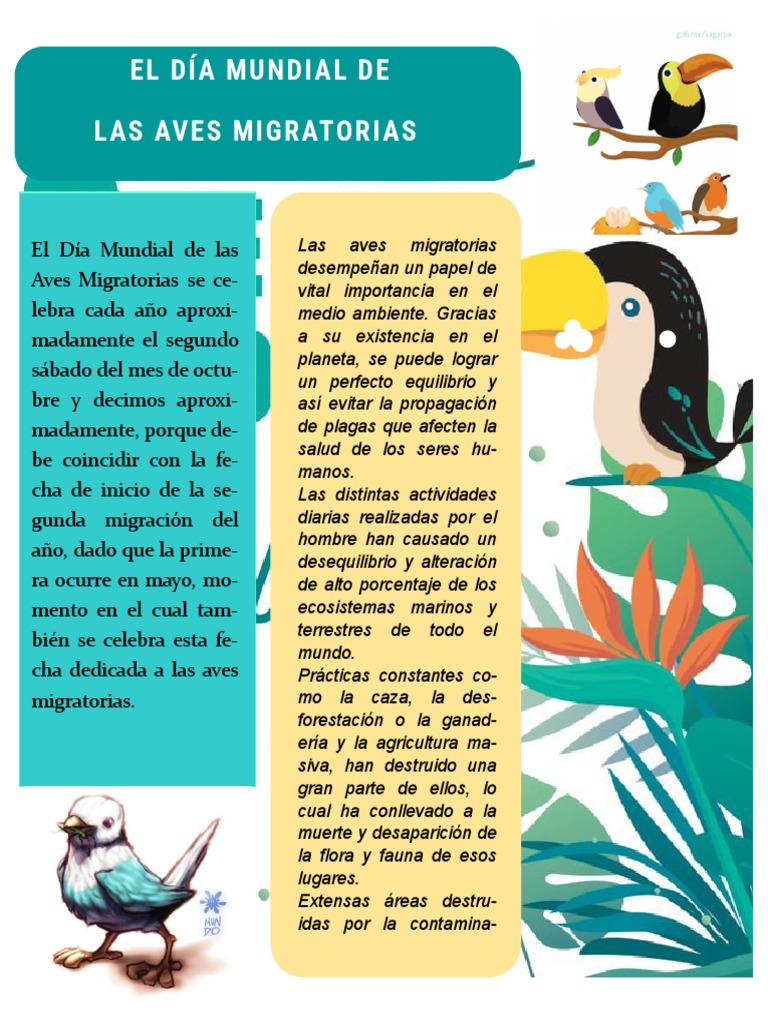 Día Mundial de las Aves Migratorias | PDF