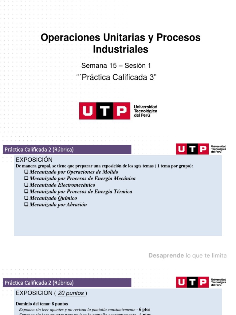 S15.s1. Práctica Calificada 3 Rúbrica | PDF