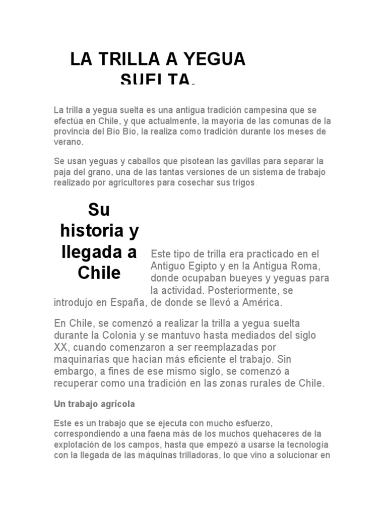 La Trilla A Yegua Suelta Es Una Antigua Tradición Campesina Que Se ...
