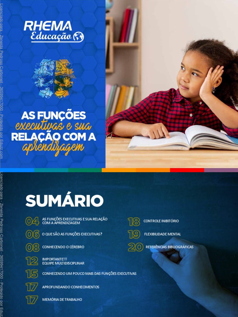 Funções Executivas e Aprendizagem | PDF