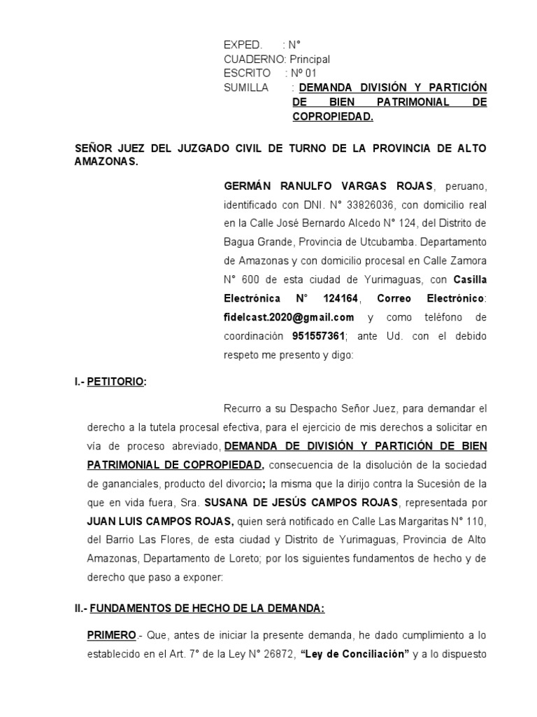 Demanda de División y Partición | PDF