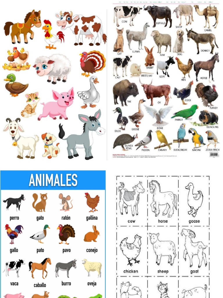 Los Animales | PDF