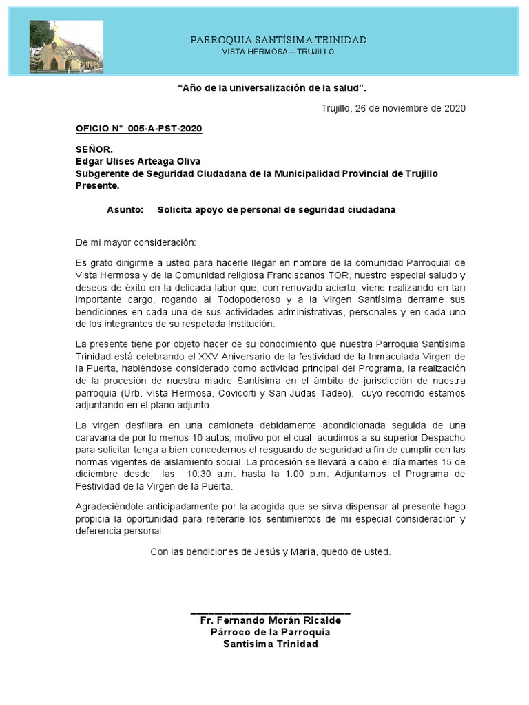 Oficio Seguridad Ciudadana 2020 | PDF