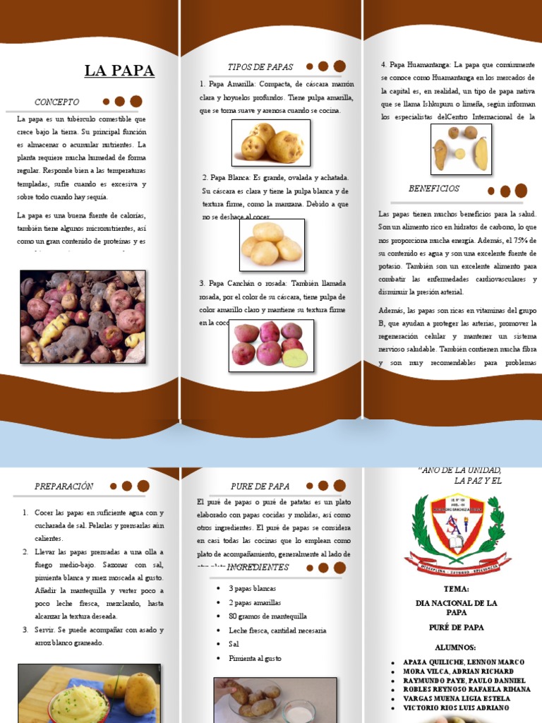 Triptico La Papa | PDF | Patata | Alimentos