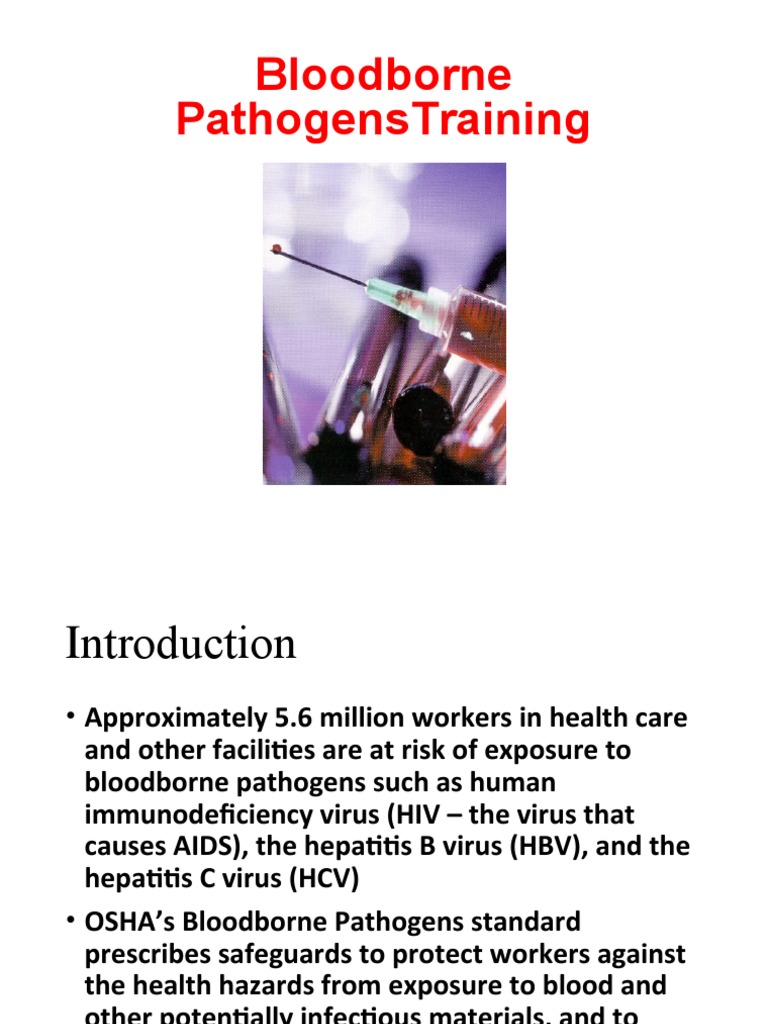 Bloodborne Pathogens Training | PDF | Hepatitis B | Hepatitis