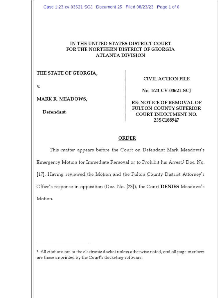 Order Denying Relief - Meadows | Download Free PDF | Injunction | Preliminary Hearing