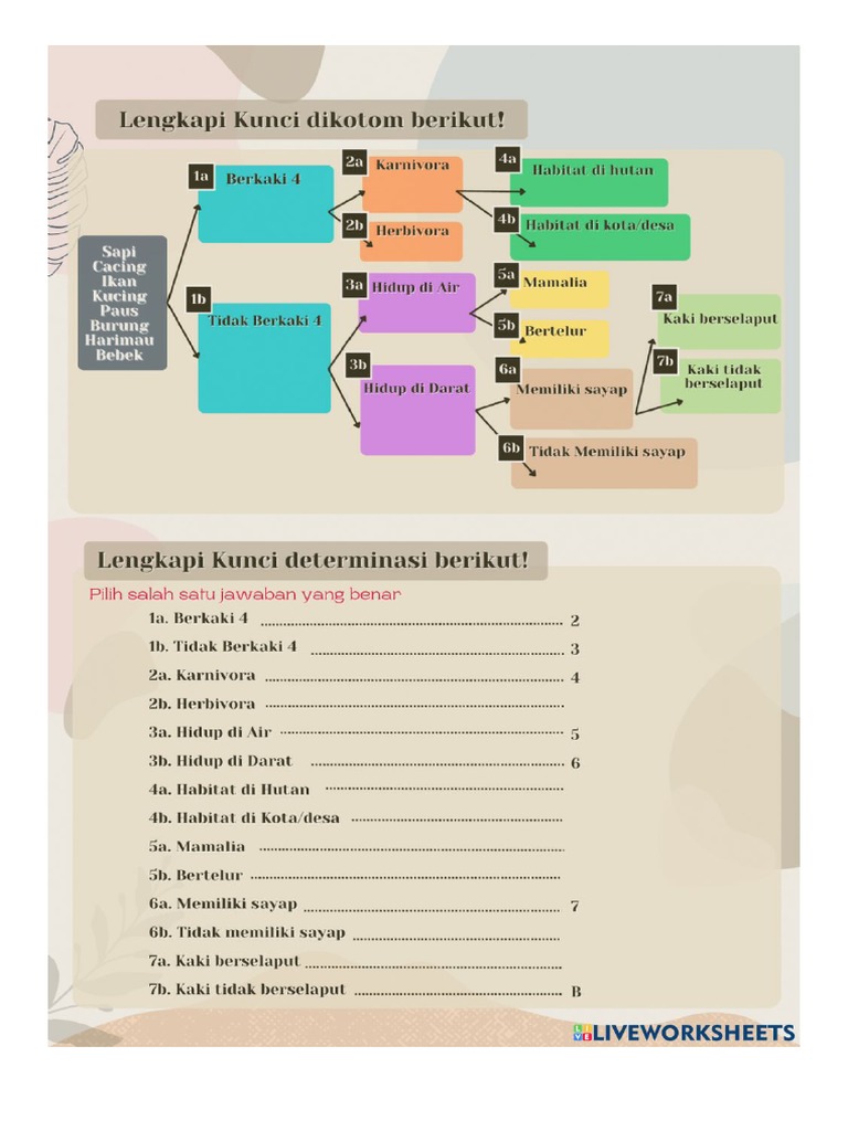 Worksheet IPA-Grade 7-Dichotomous Key | PDF