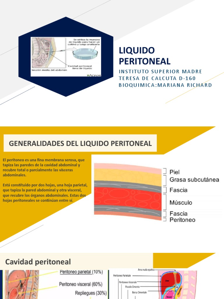 Liquido Peritoneal | PDF | Articulación | Anatomía