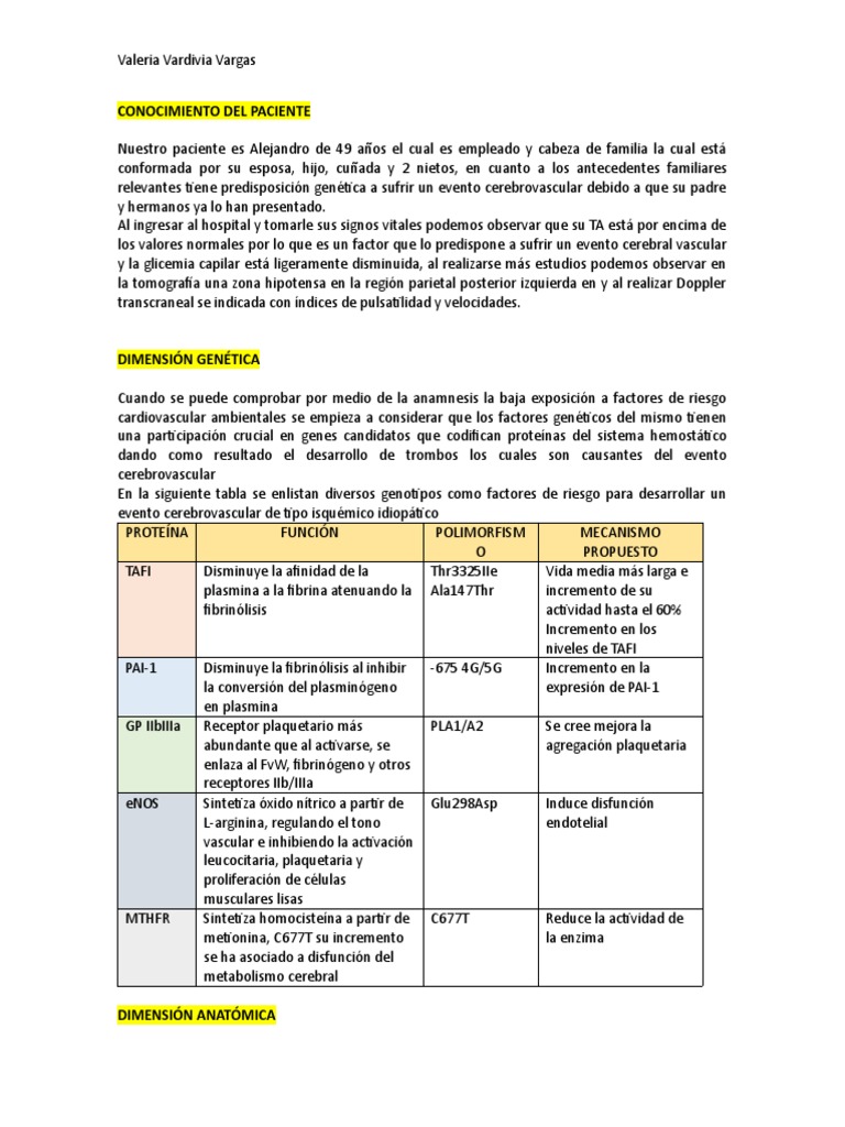 Caso 1.1 VVV | PDF