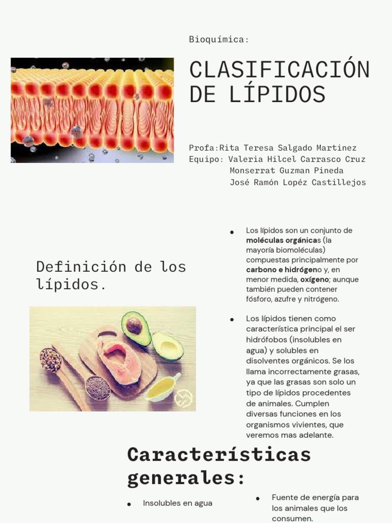 Clasificación de Los Lípidos. | PDF | Ciencia y matemática