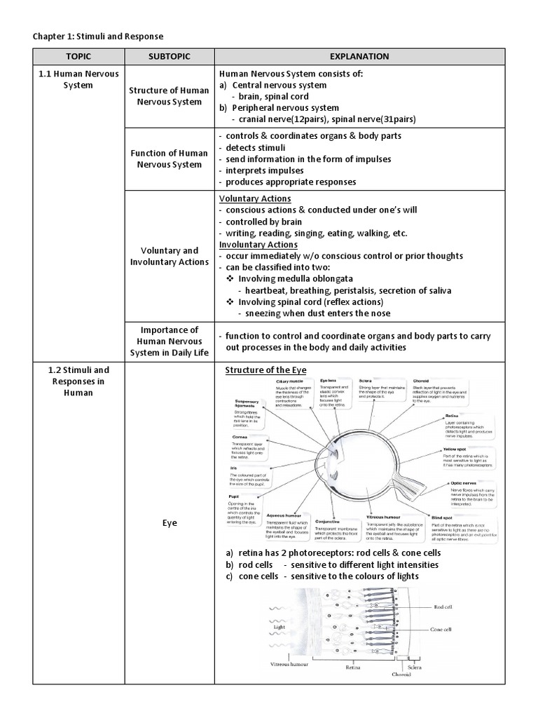 Science Form 3 (Notes) - 230824 - 011652 | PDF | Science & Mathematics
