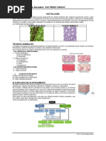 05 Tejidos Epiteliales III Especializaciones Del Dominio Basolateral ...