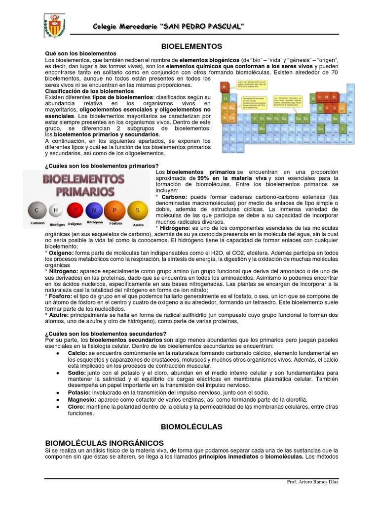 Bioelementos y Biomoleculas Inorganicas 2do | PDF | Agua | Biomoléculas