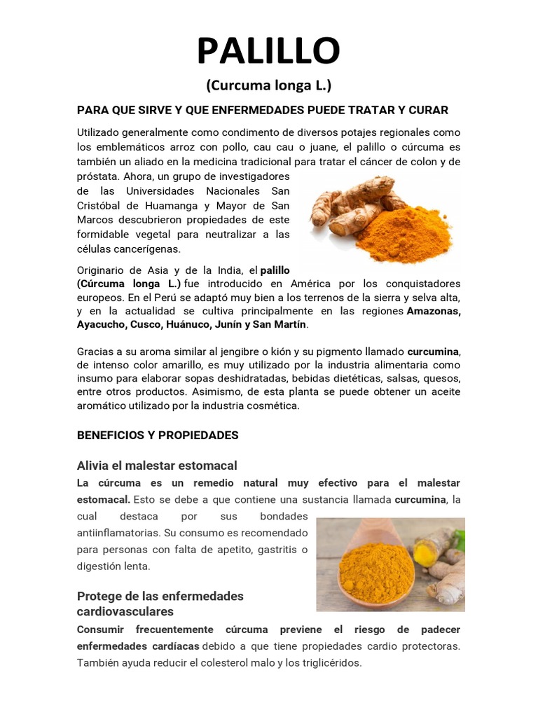 PALILLO | PDF | Cúrcuma | Cocina