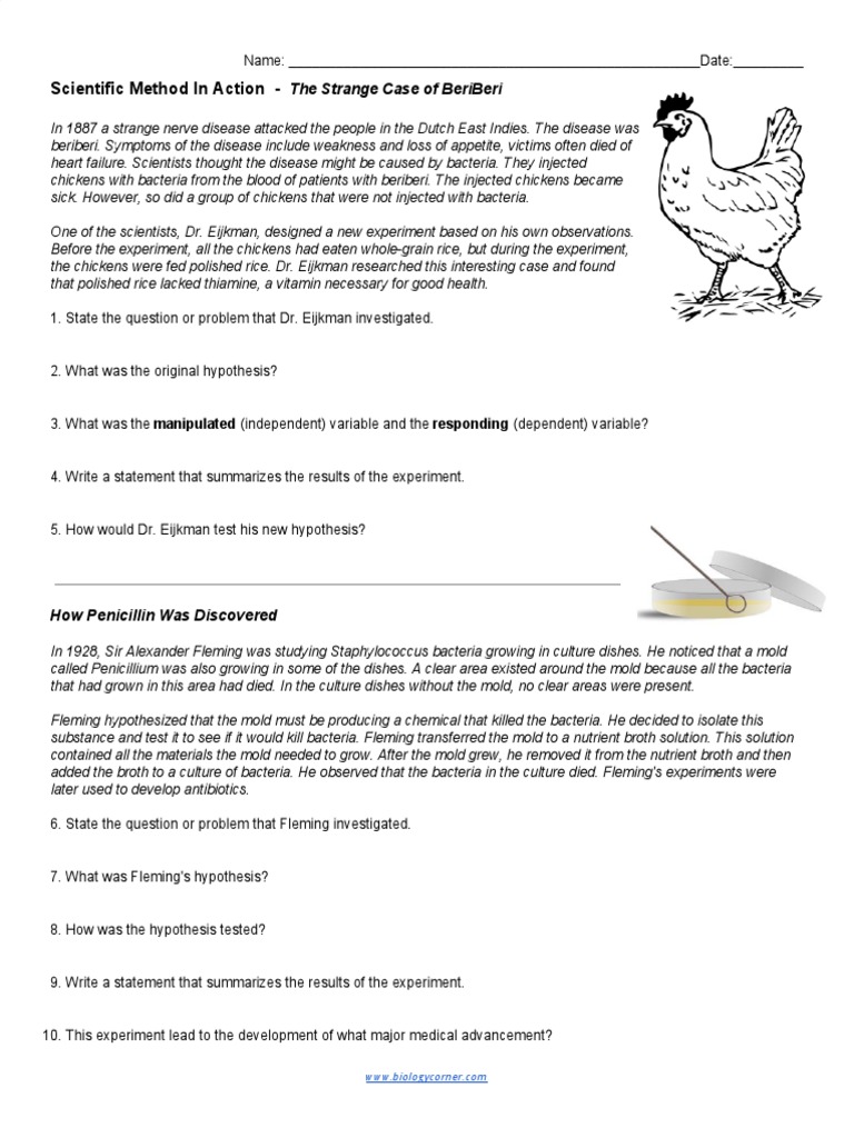 Scientific Method in Action | PDF | Experiment | Hypothesis