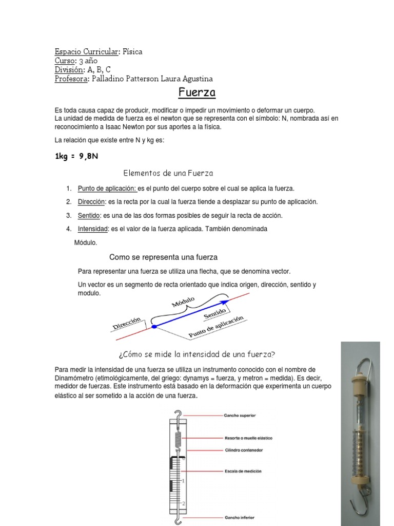TP Fuerzas | PDF | Fuerza | Vector Euclidiano
