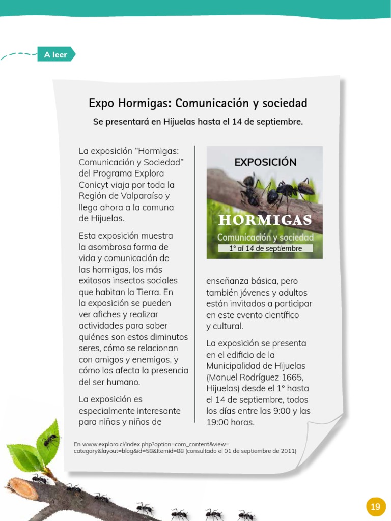 Expo Hormigas: Comunicación y Sociedad | PDF | Comunicación humana ...