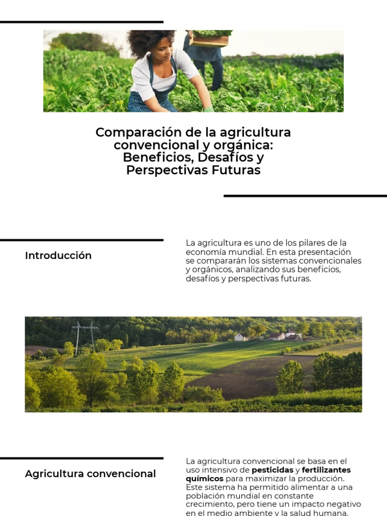 Wepik Comparacion de La Agricultura Convencional y Organica Beneficios Desafios y Perspectivas ...