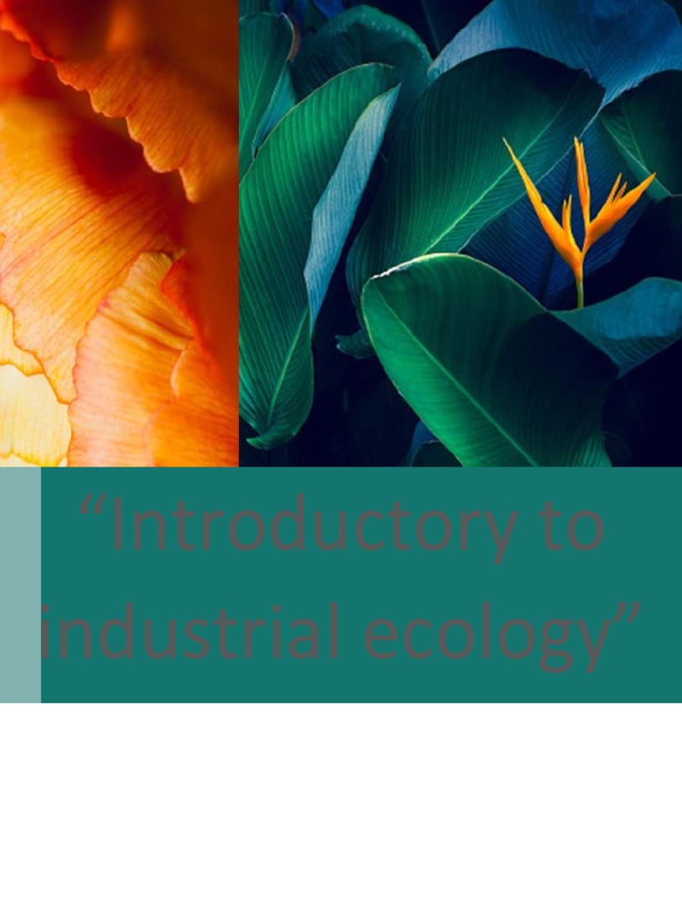 Introduction To Eco Industry | PDF