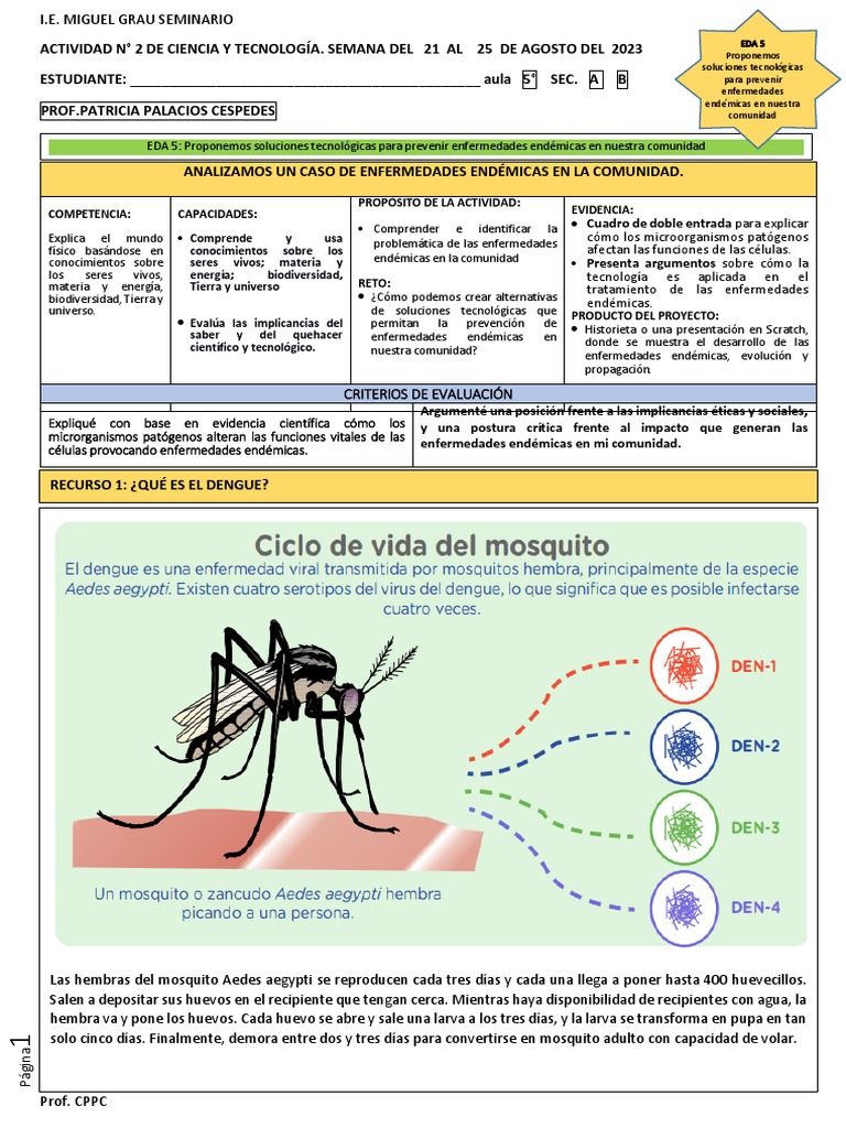 5° Sec. Semana 2 Explica EDA 5 CYT 2023 | PDF | Virus | Rna