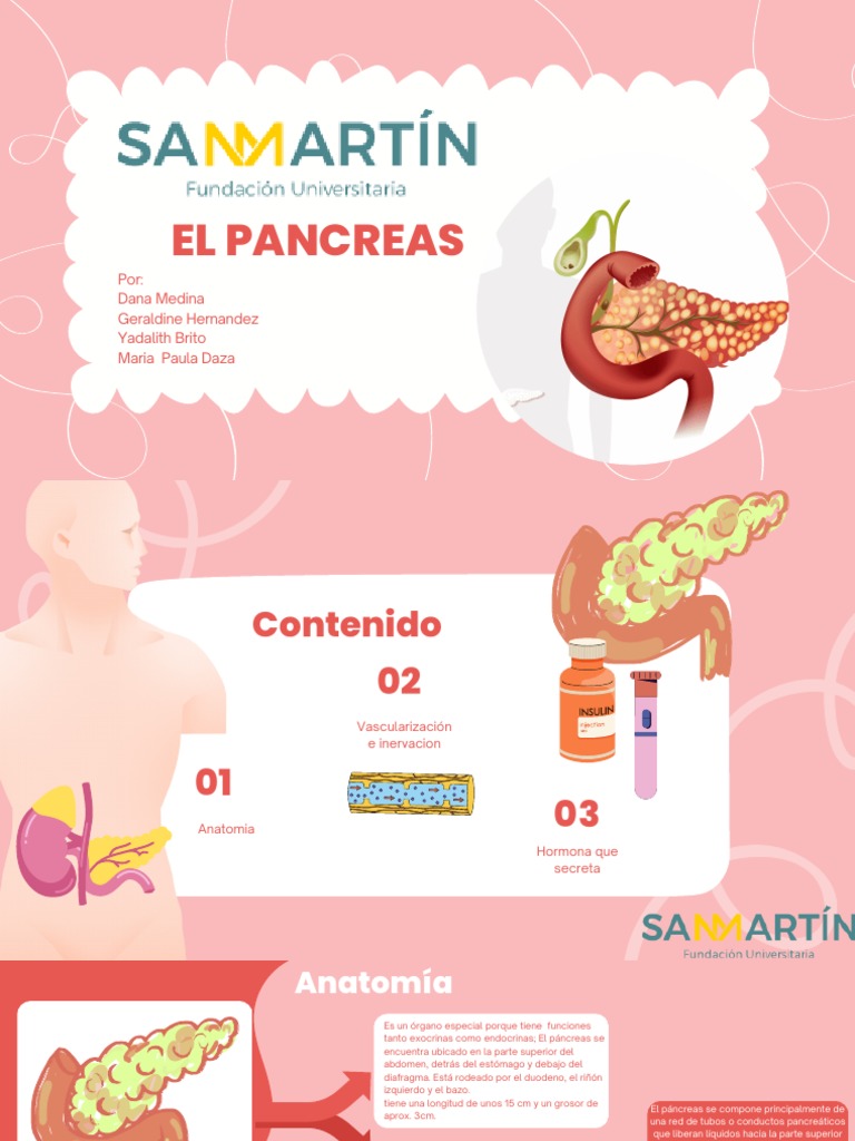 Presentación Del Páncreas | PDF