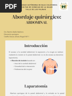 Incisiones Quirúrgicas | PDF | Abdomen | Anatomía