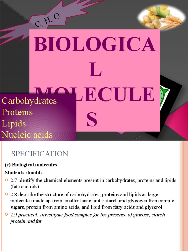Biological Molecules | PDF | Carbohydrates | Glucose Biological Molecules | PDF | Carbohydrates | Glucose