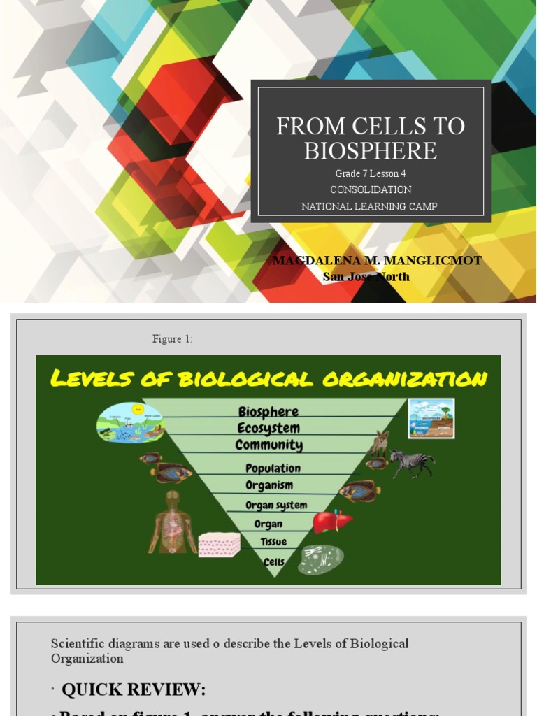 Grade 7 - Consolidation4 - From Cells To Biosphere | PDF