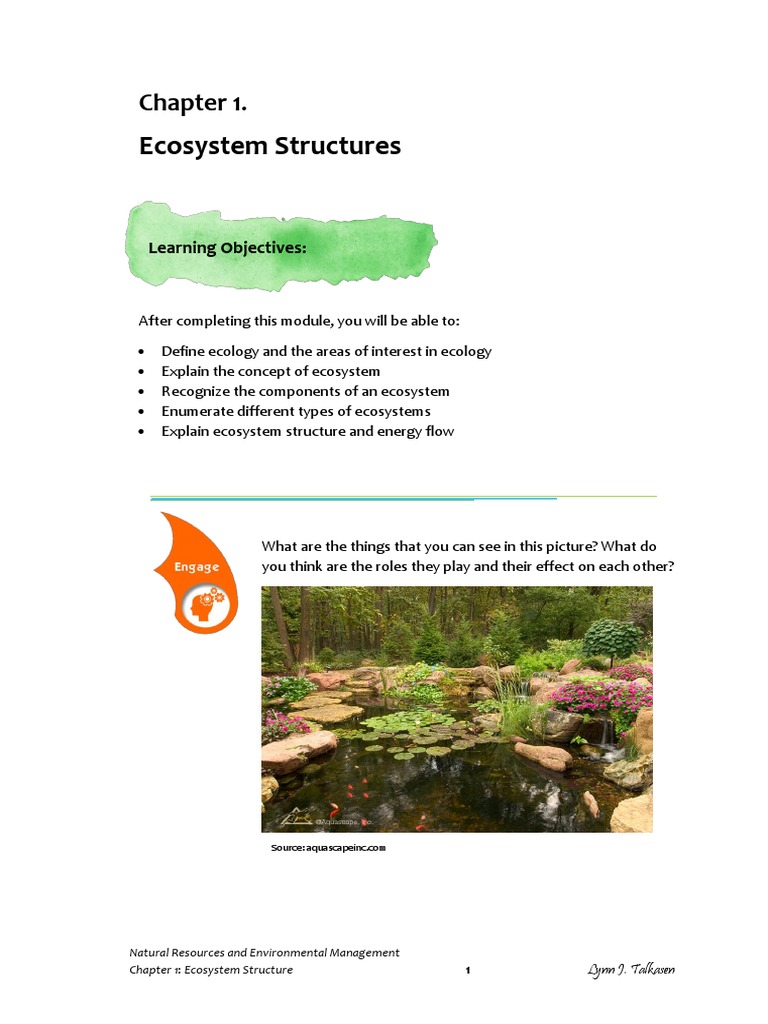 Chapter 1 Natural Resources | PDF