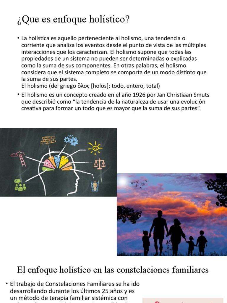 Que Es Enfoque Holístico | PDF